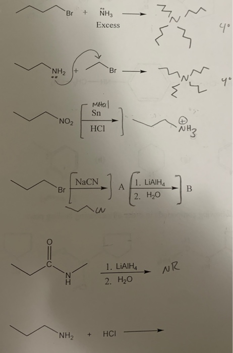 Solved Br +NH3 Excess NH2+ Br 2. H20 NR 2. H2O NH2+ HCI | Chegg.com