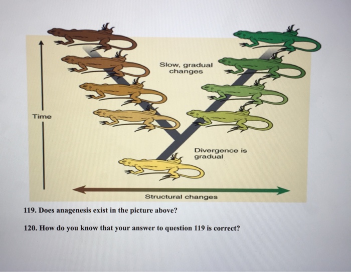 Biology Archive | December 11, 2017 | Chegg.com
