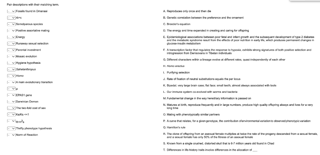 Solved Pair descriptions with their matching term. Jossils | Chegg.com