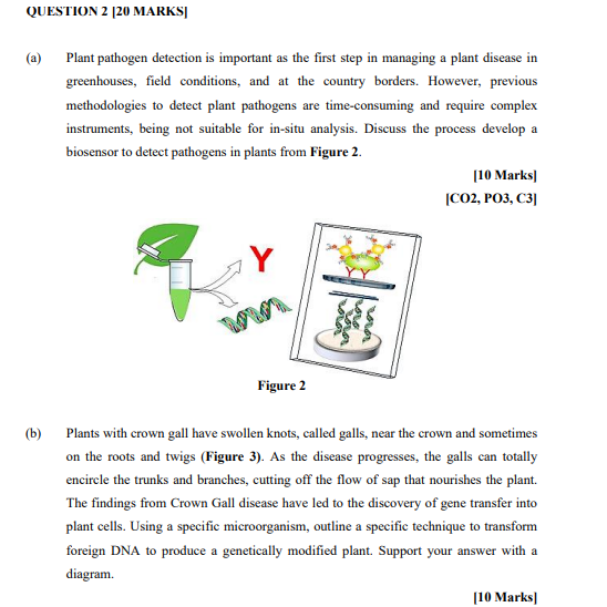 Solved QUESTION 2 [20 MARKS] (a) (b) Plant pathogen | Chegg.com