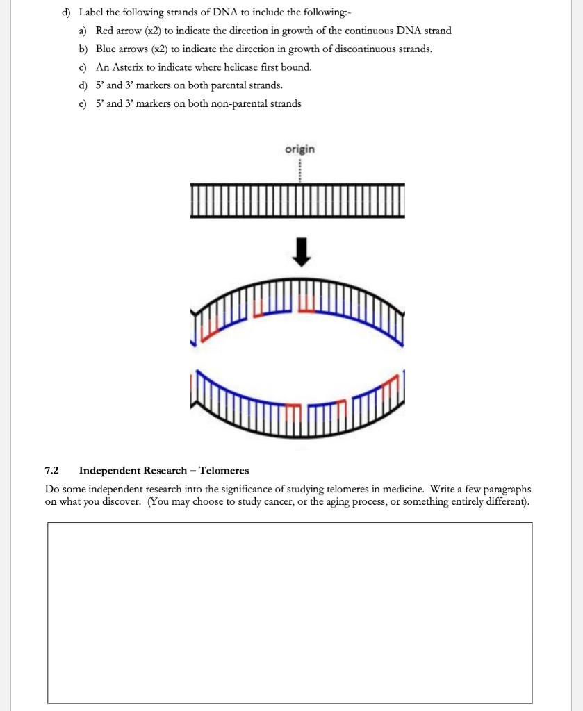 Solved Topic 7: DNA Replication 7.1 DNA Replication Answer | Chegg.com