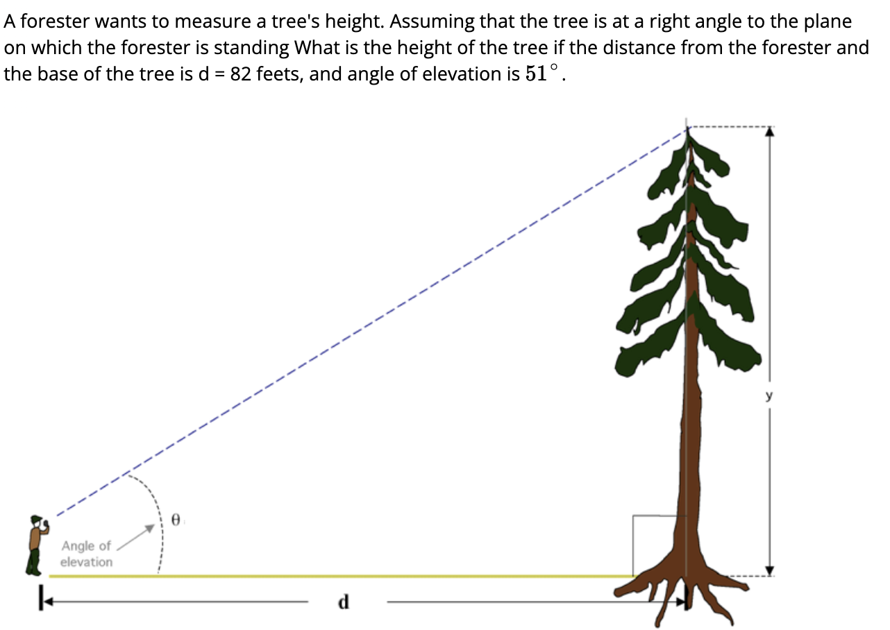 Solved A forester wants to measure a tree's height. Assuming | Chegg.com