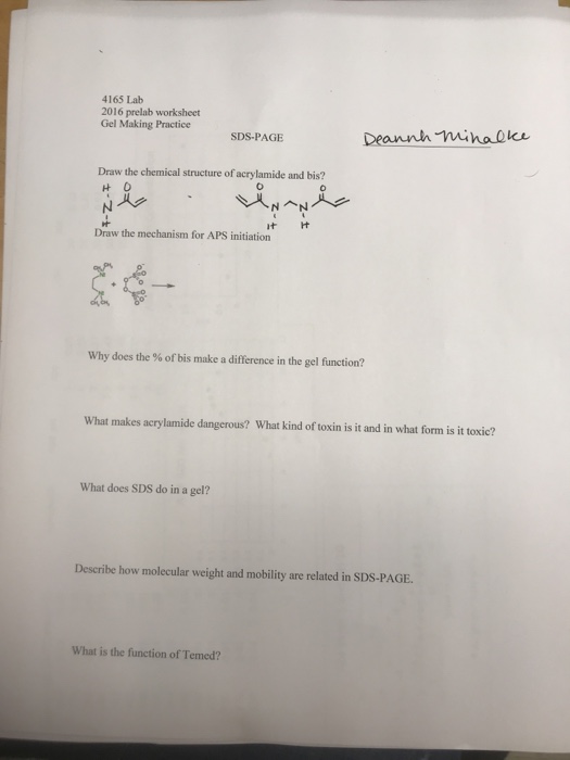 Solved 4165 Lab 2016 prelab worksheet Gel Making Practice | Chegg.com