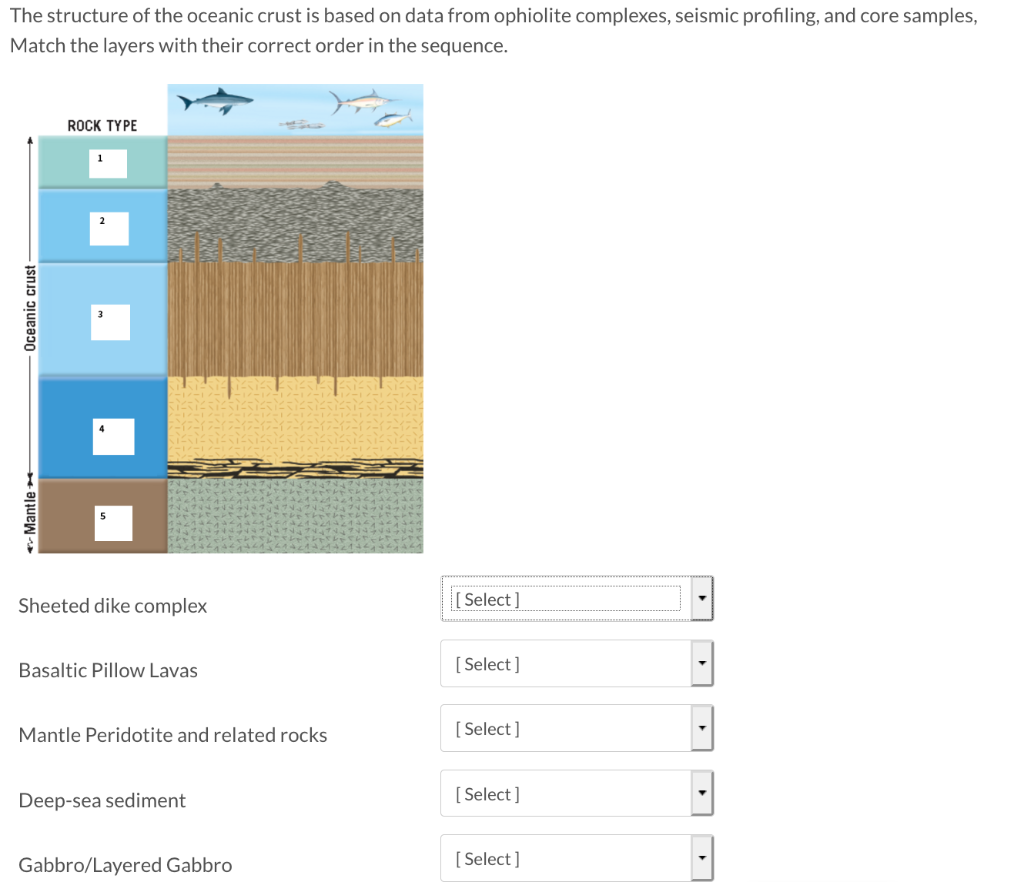 Solved The structure of the oceanic crust is based on data | Chegg.com