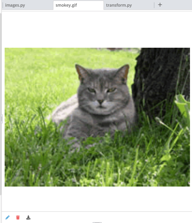 Solved Each image-processing function that modifies its | Chegg.com