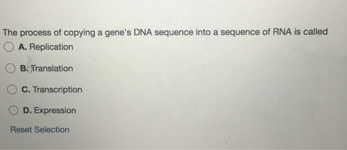 Solved The process of copying a gene's DNA sequence into a | Chegg.com