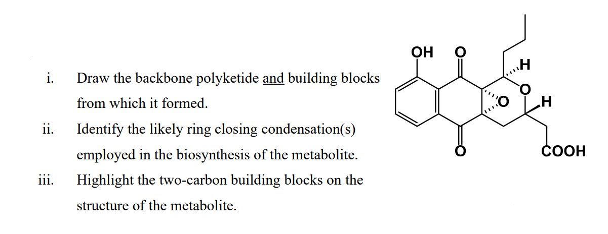 Solved i. Draw the backbone polyketide and building blocks | Chegg.com