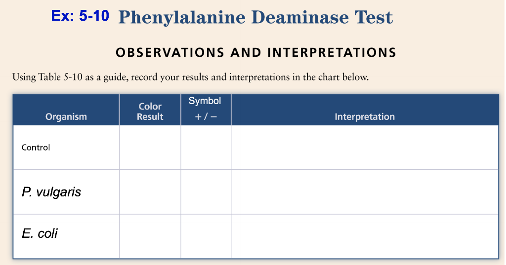 Solved Ex: 5-10 Phenylalanine Deaminase Test OBSERVATIONS | Chegg.com
