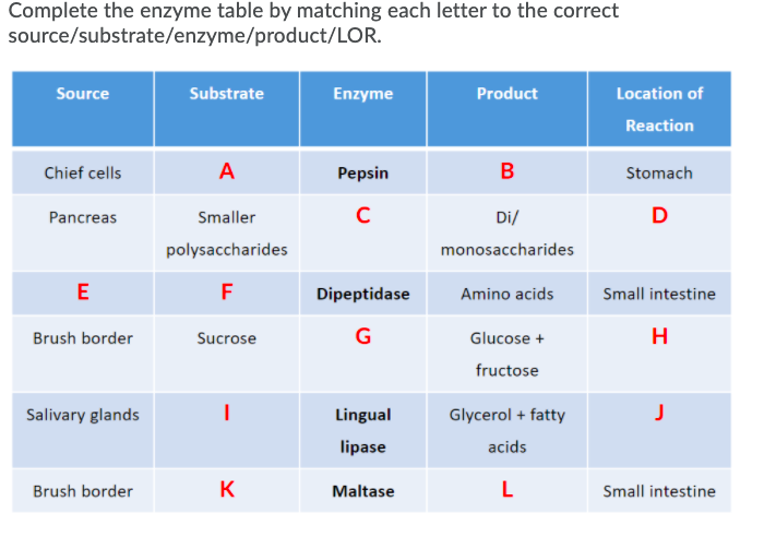 Solved Complete the enzyme table by matching each letter to | Chegg.com