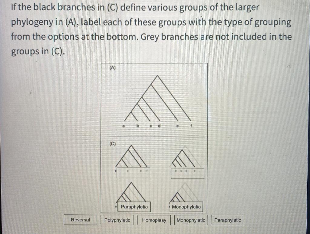Solved If the black branches in (C) define various groups of | Chegg.com