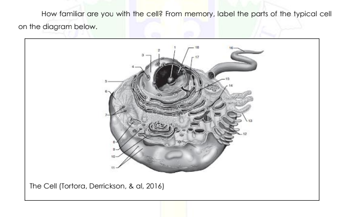 Solved How familiar are you with the cell? From memory, | Chegg.com