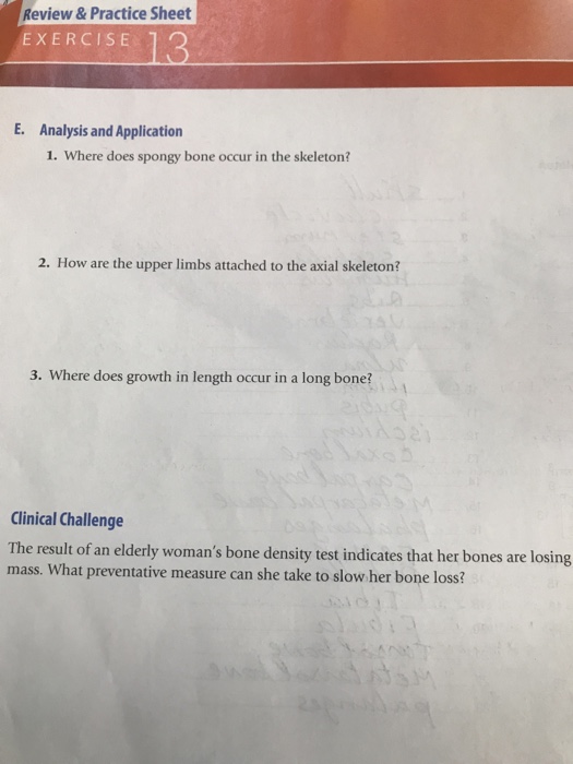 Solved Review& Practice Sheet EXERCISE 1 E. Analysis and | Chegg.com