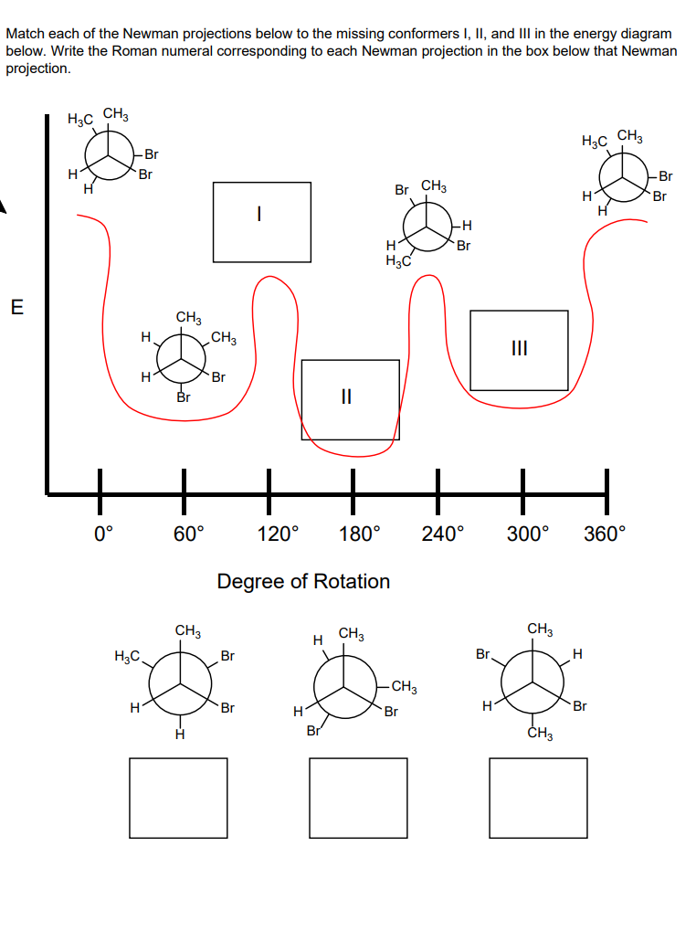 Solved Match each of the Newman projections below to the | Chegg.com
