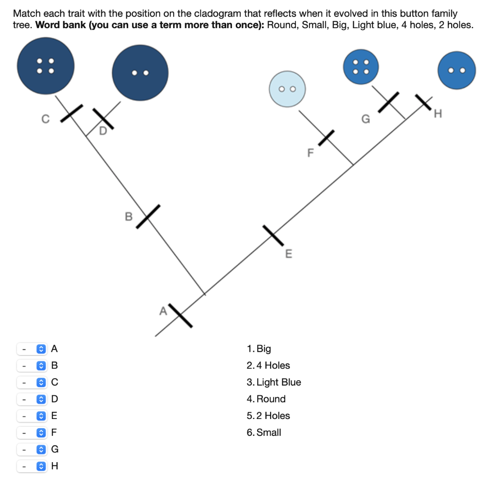 Solved Match each trait with the position on the cladogram | Chegg.com