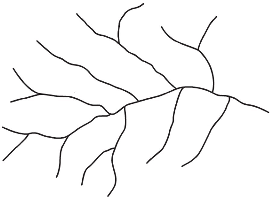 Solved a. How many first-order streams are shown in the | Chegg.com