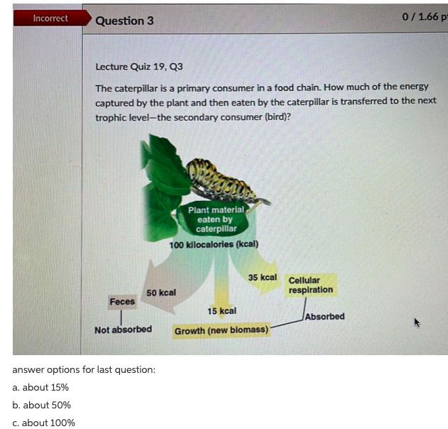 Solved Incorrect Question 2 U/ 1.07 pts Lecture Quiz 19, Q2 | Chegg.com