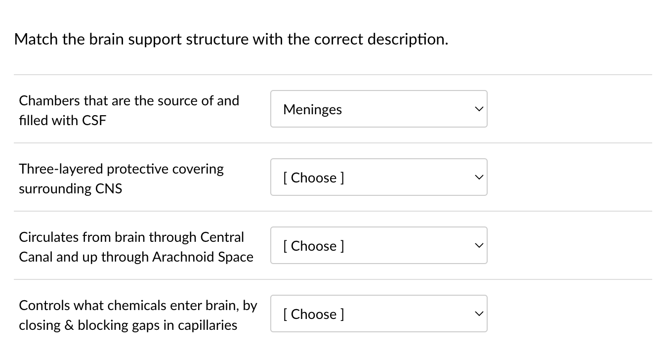 Solved Match the brain support structure with the correct | Chegg.com