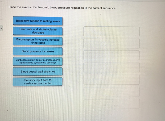 Solved Place the events of autonomic blood pressure | Chegg.com Solved Place the events of autonomic blood pressure | Chegg.com