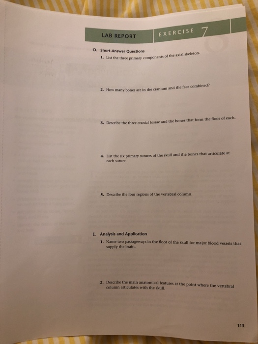 Solved EXERCISE LAB REPORT The Axial Skeleton A Matching | Chegg.com