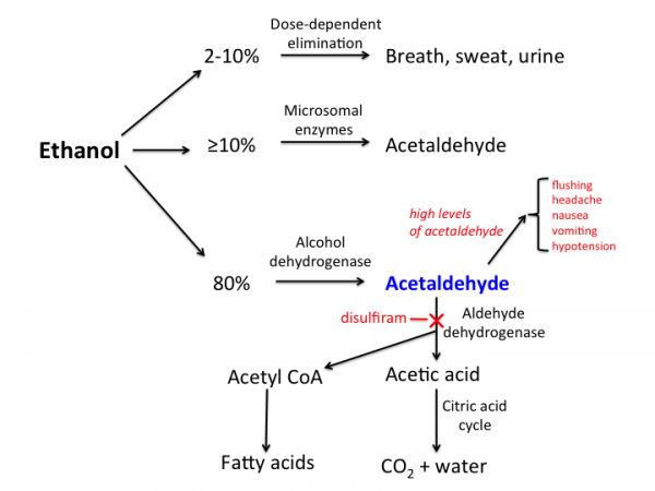 Solved Q.The toxic effect of acetaldehyde usually sets in | Chegg.com