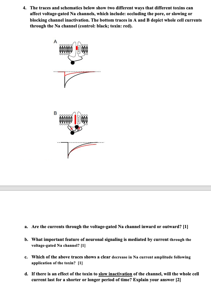 Solved 4. The traces and schematics below show two different | Chegg.com
