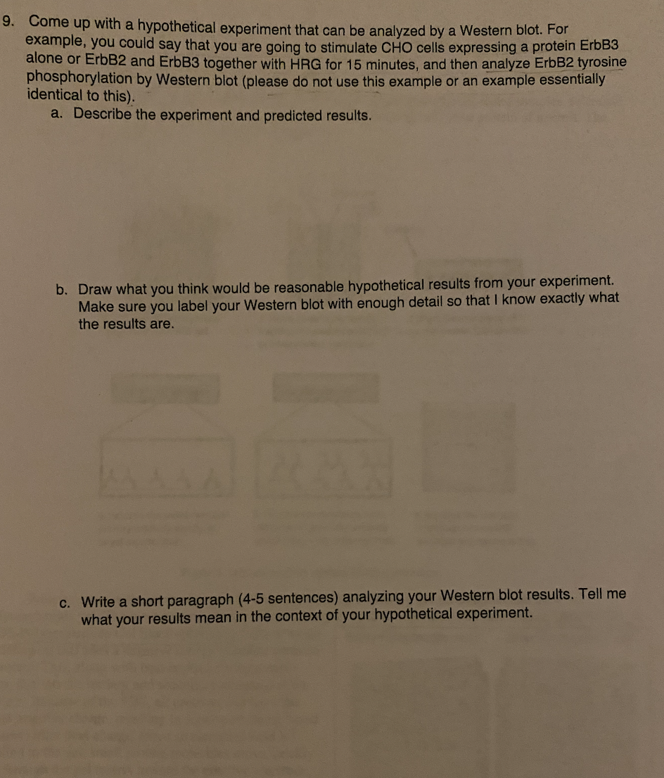 Solved 9. Come up with a hypothetical experiment that can be | Chegg.com