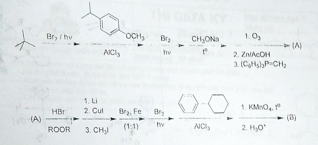 Solved Br, / hv hvBr2−t∘CH3ONa 1. O3 AlCl3 2. Zn/ACOH (A) | Chegg.com