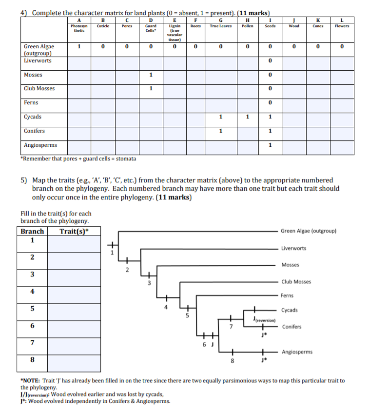 Solved 4) Complete the character matrix for land plants (0 = | Chegg.com