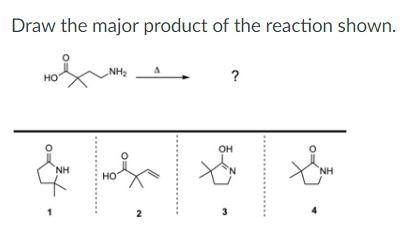 Solved Draw the major product of the reaction shown. NH2 HO | Chegg.com