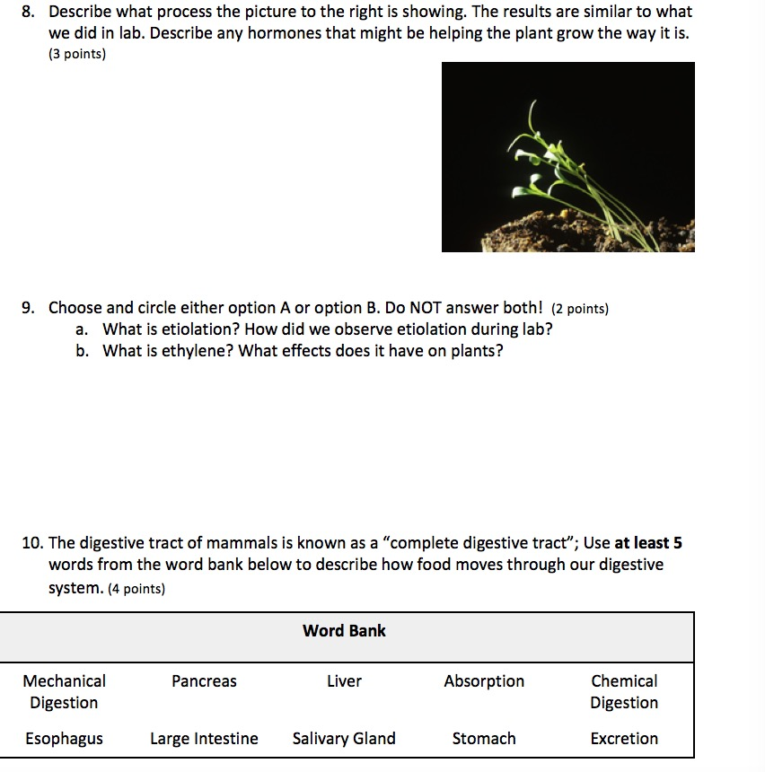 Solved Activity 1: Bacterial Transformation (Experiment) | Chegg.com