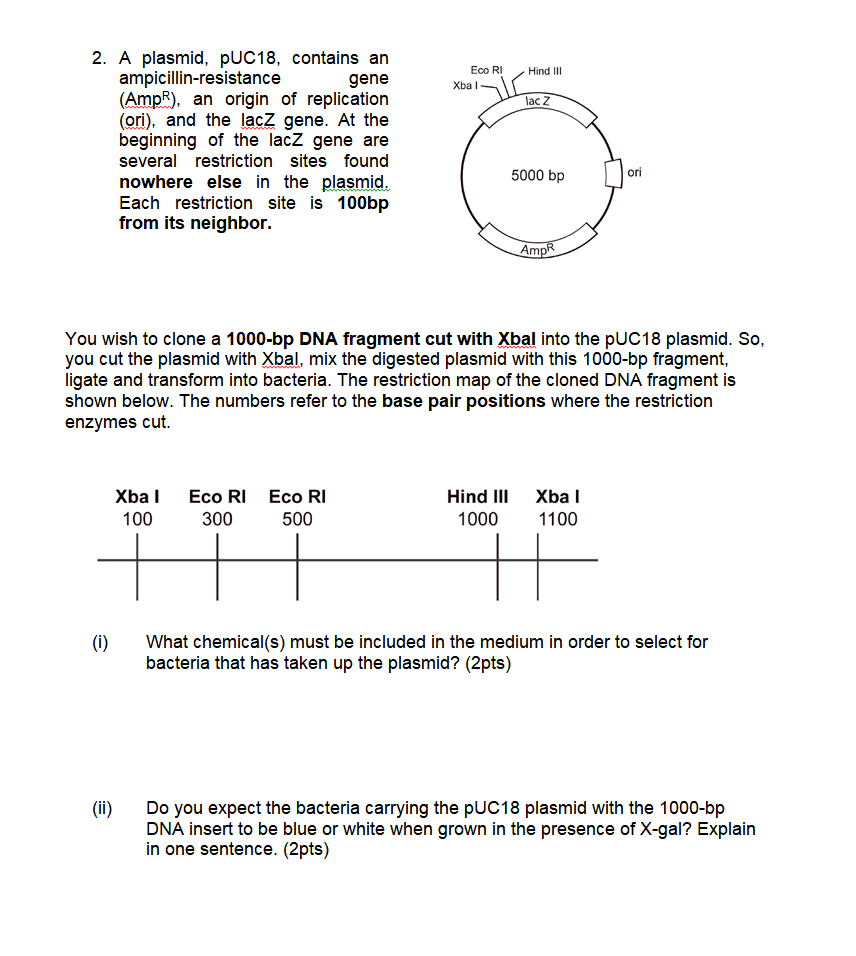 Fuse, 20A, MDA, 250VAC, PK MDA-20-R MDA-20BK, 53% OFF