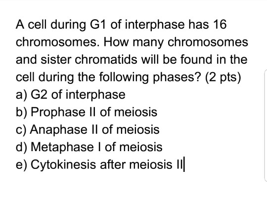 Solved A cell during G1 of interphase has 16 chromosomes. | Chegg.com