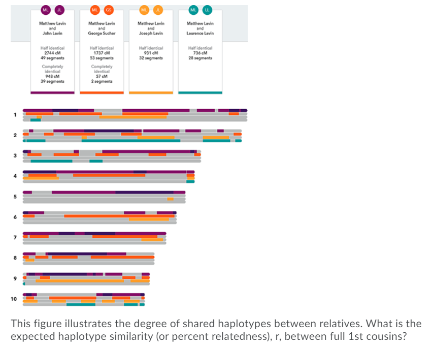 ML ML GS M Matthew Lavin Matthew Lavin and John Lavin | Chegg.com