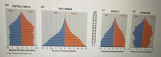 Solved When examining population pyramids, which basic | Chegg.com