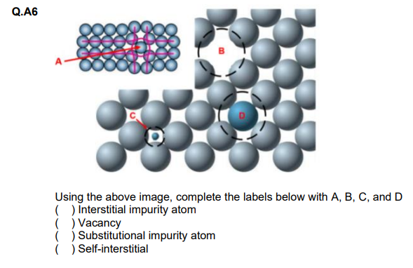 Solved Q.A6 Using the above image, complete the labels below | Chegg.com