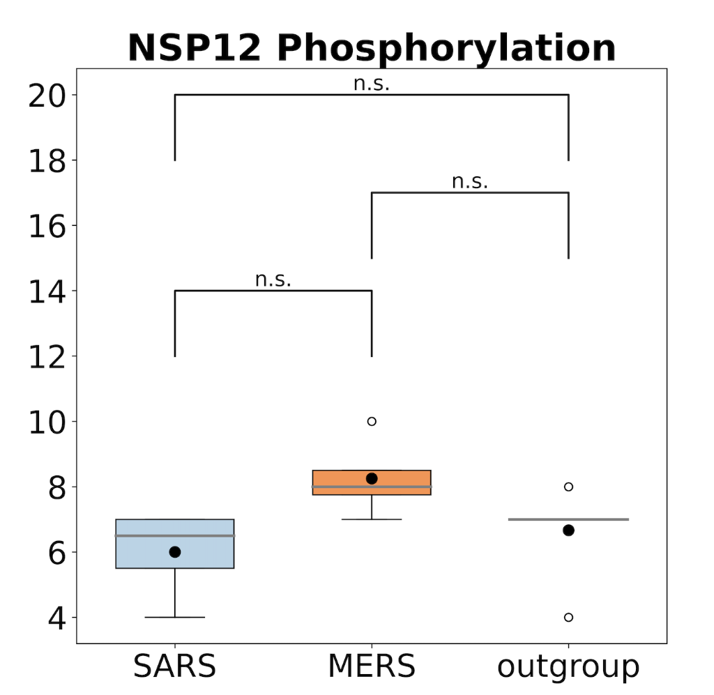 20 18 16 14 12 10 8 6 4 NSP12 Phosphorylation n.s. | Chegg.com