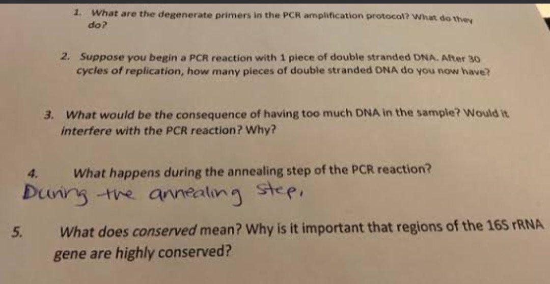 Solved 1. What are the degenerate primers in the PCR | Chegg.com