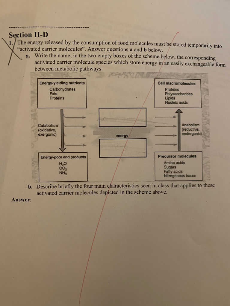 Solved Section II-D The energy released by the consumption | Chegg.com