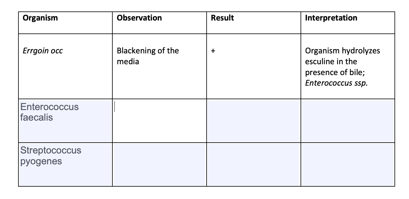 Solved stoph . epidermidis Mannitol Salt Agar plate Results | Chegg.com