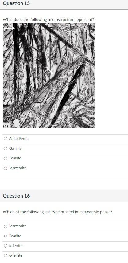 Solved What does the following microstructure represent? | Chegg.com