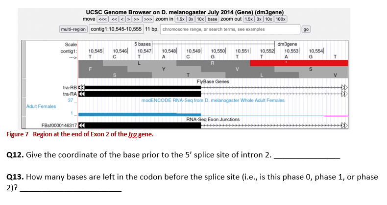 Solved Q12. Give the coordinate of the base prior to the 5′ | Chegg.com