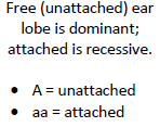 Exercise 1: Observing Phenotype CharacteristicsData | Chegg.com