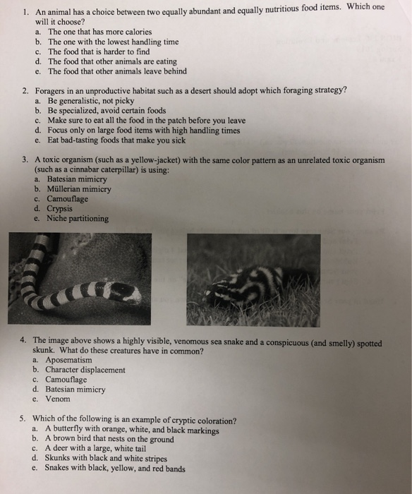 Solved Please answer the questions and please state the | Chegg.com