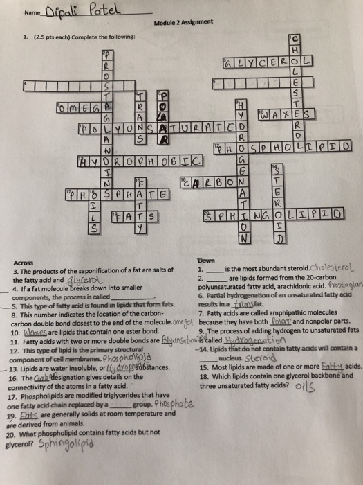 Solved 2. (3 pts each) Complete the following concept map. | Chegg.com