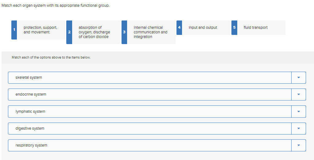 Solved protection, support,and movementabsorption of2 | Chegg.com