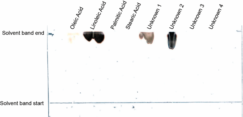 Solved The TLC plates for the iodine and FeCl3 staining are | Chegg.com