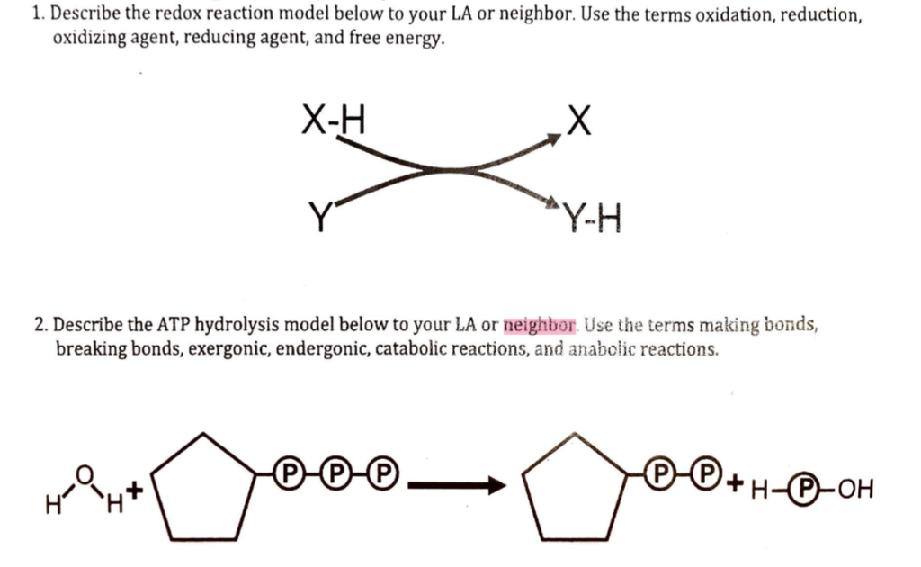 Solved 1. Describe the redox reaction model below to your LA | Chegg.com