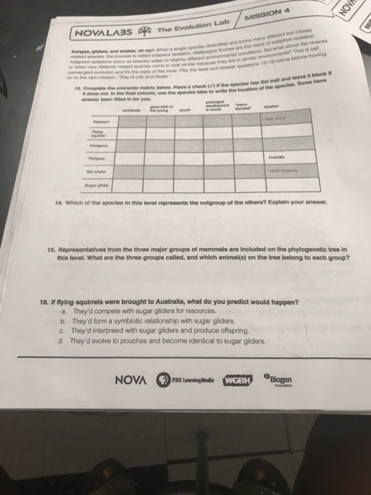 Solved NOVALABS The Evotution Labs Lab MISSION 4 ON 4 | Chegg.com