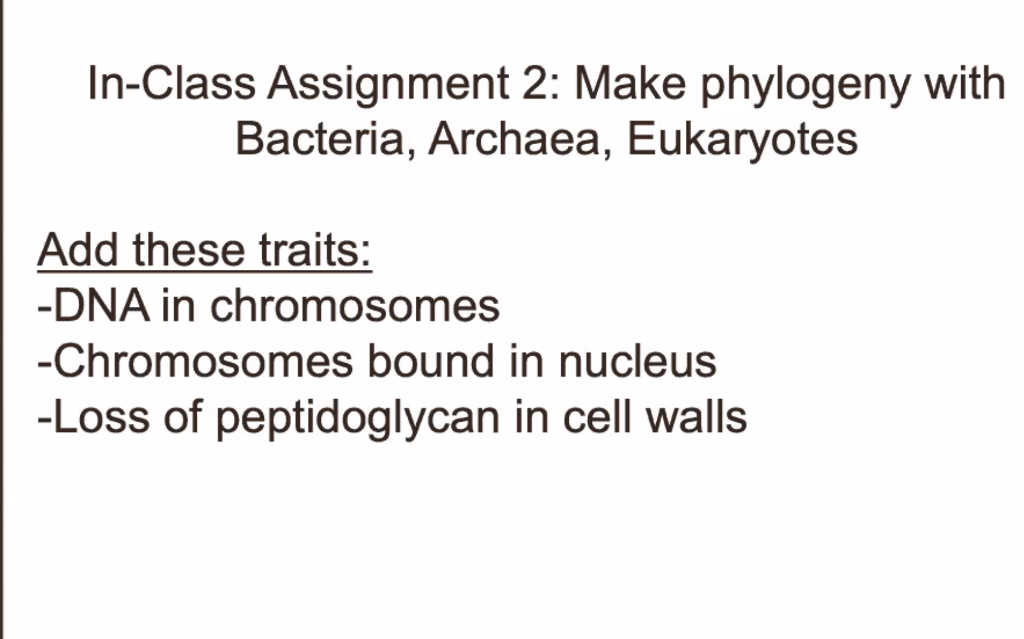 Solved In-Class Assignment 2: Make phylogeny with Bacteria, | Chegg.com