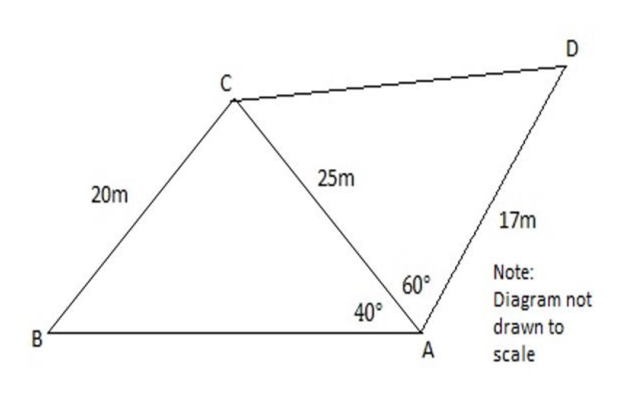 Solved Using triangle ABC, calculate the measure of angle B | Chegg.com